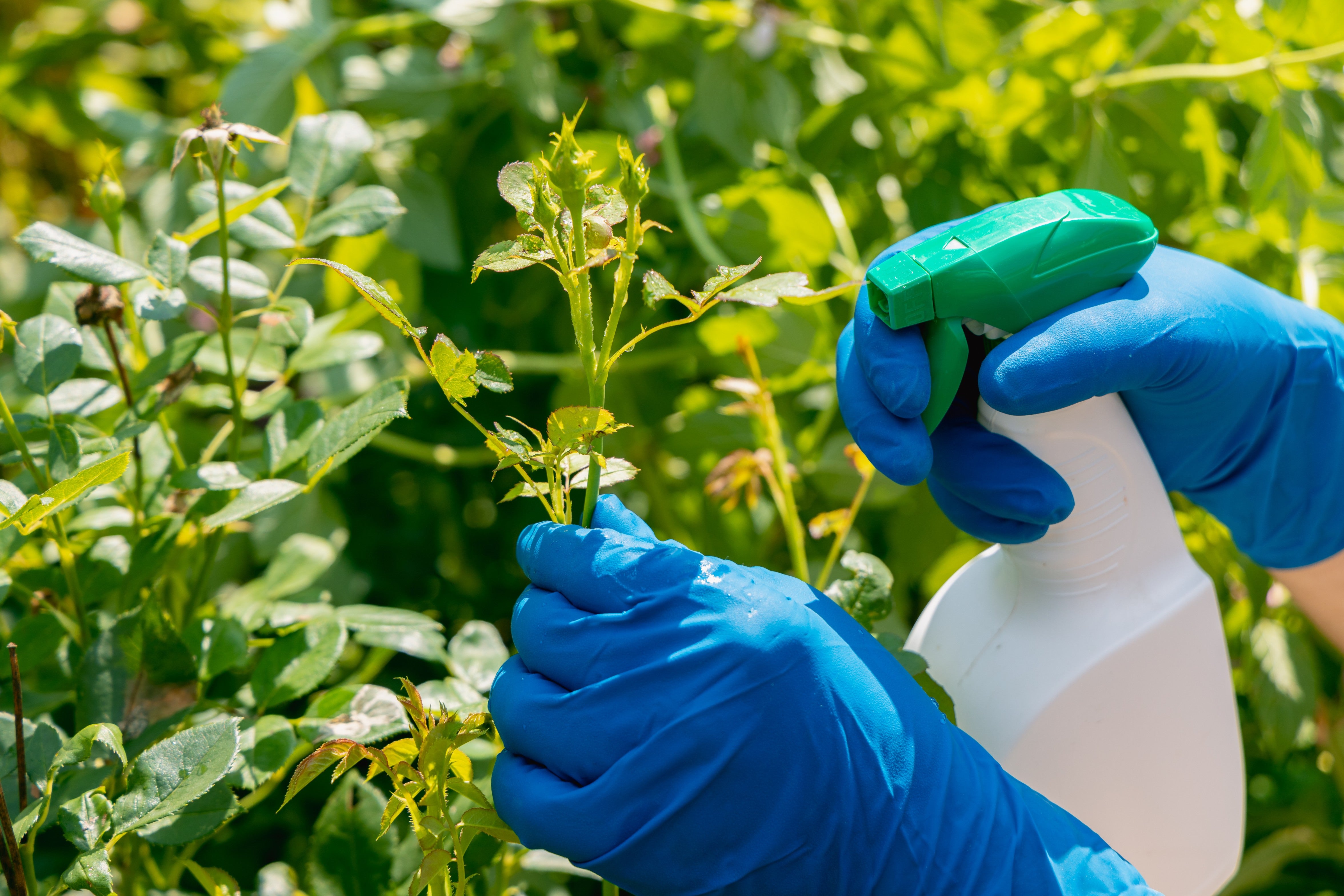 Herbicides & Insecticides – Mr Greenfinger Lawn Mowers